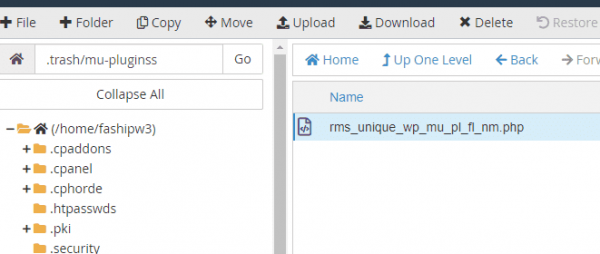 How to clean “lowerbeforwarden.ml” & other such Malware in WordPress?